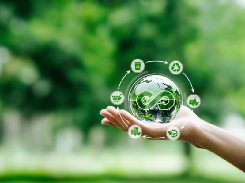 How to Offset Your Carbon Emissions - Source Code Control